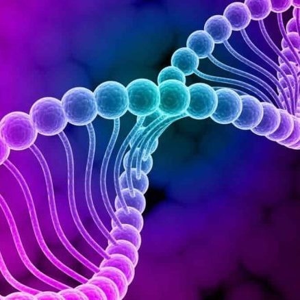 THE ARK - The Galactic Ark